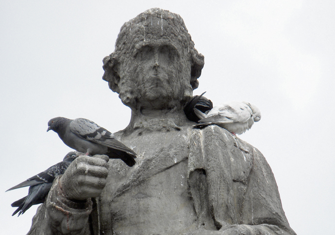 Give Richard Cobden a chance, get rid of the pigeons | Islington Tribune
