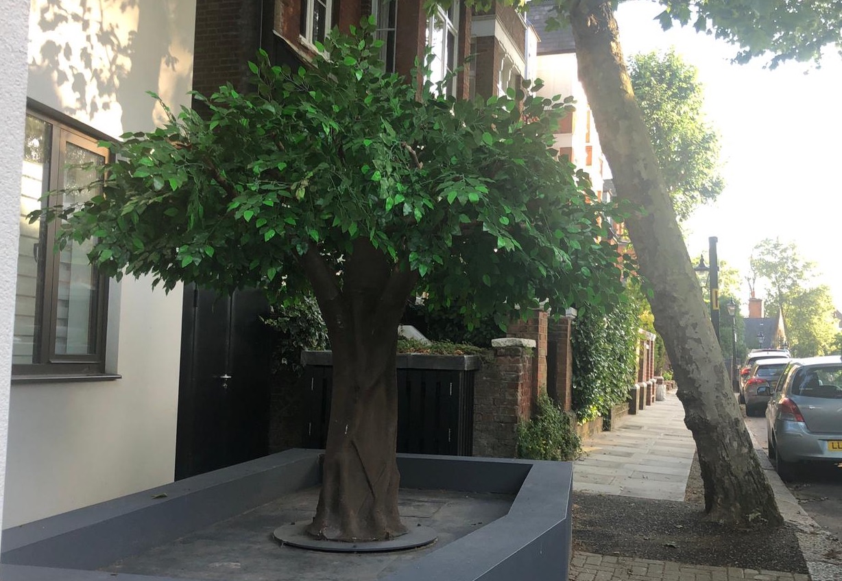 Leafy Hampstead? Neighbours object to artificial oak tree | Islington ...