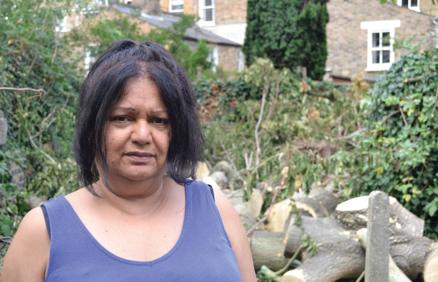 Fallen 50ft ‘tree of heaven’ causes hell | Islington Tribune
