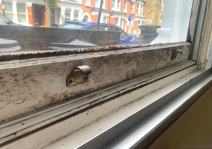 ‘Damp in Archway flat makes us feel worthless’ | Islington Tribune