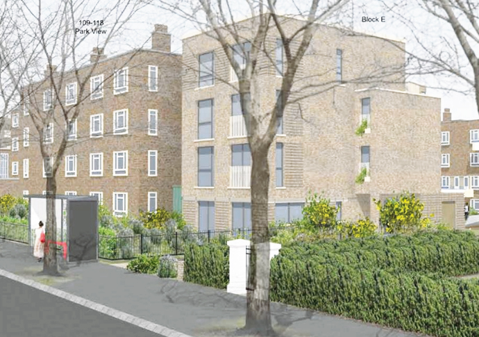 40 homes, but much-loved tree’s facing the chop | Islington Tribune