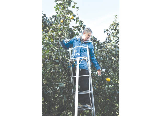 Farm photos: Freightliners life captured in journal | Islington Tribune