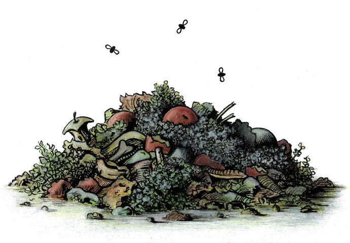 Recycling food waste? Try the library… | Islington Tribune