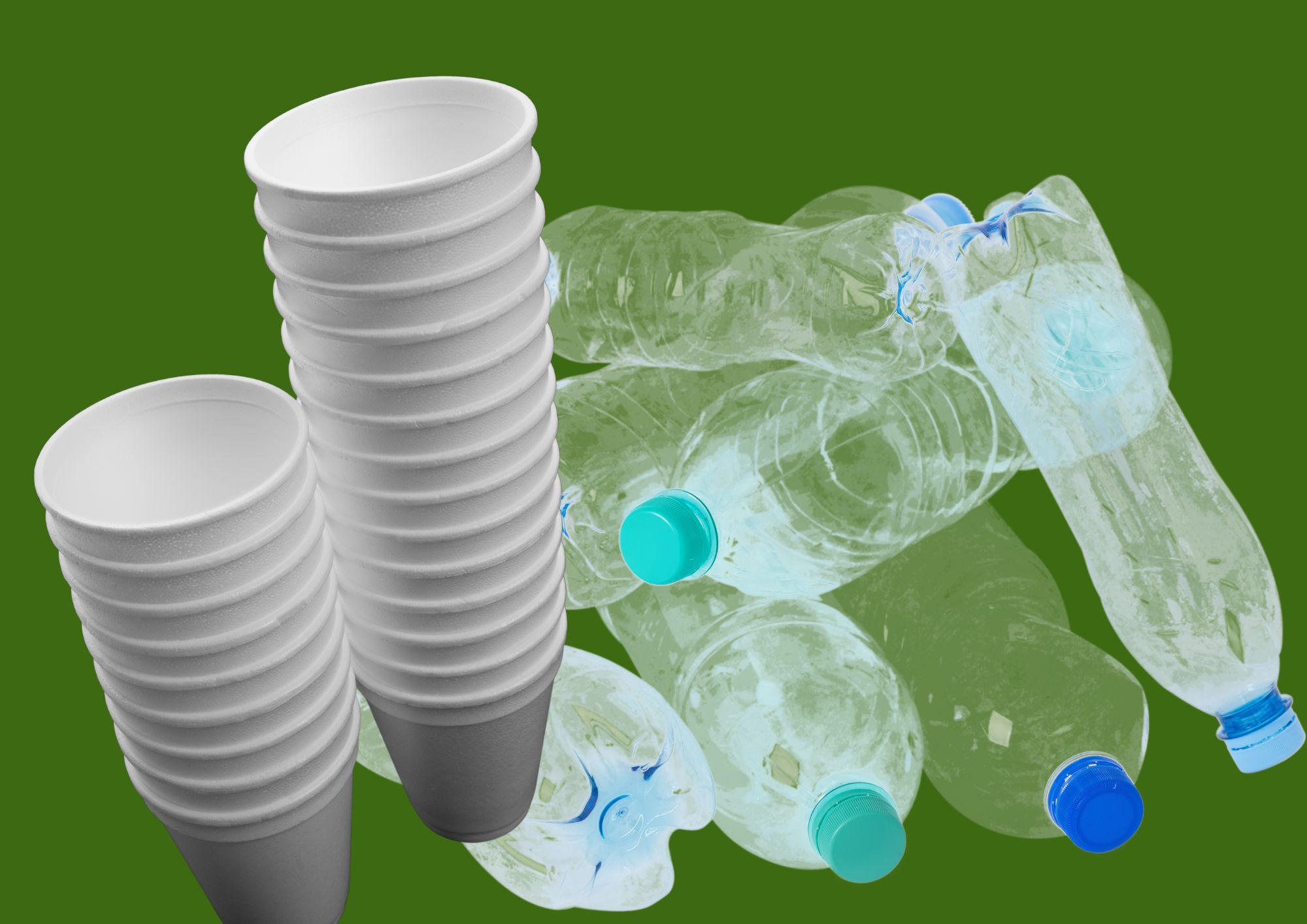 Eco 2023: Millions of bits of single use plastic thrown away in north ...