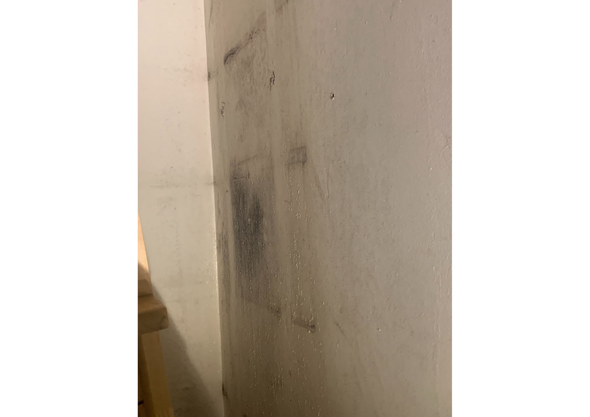 Mould and damp: Victim of abuse slams council for state of flat ...