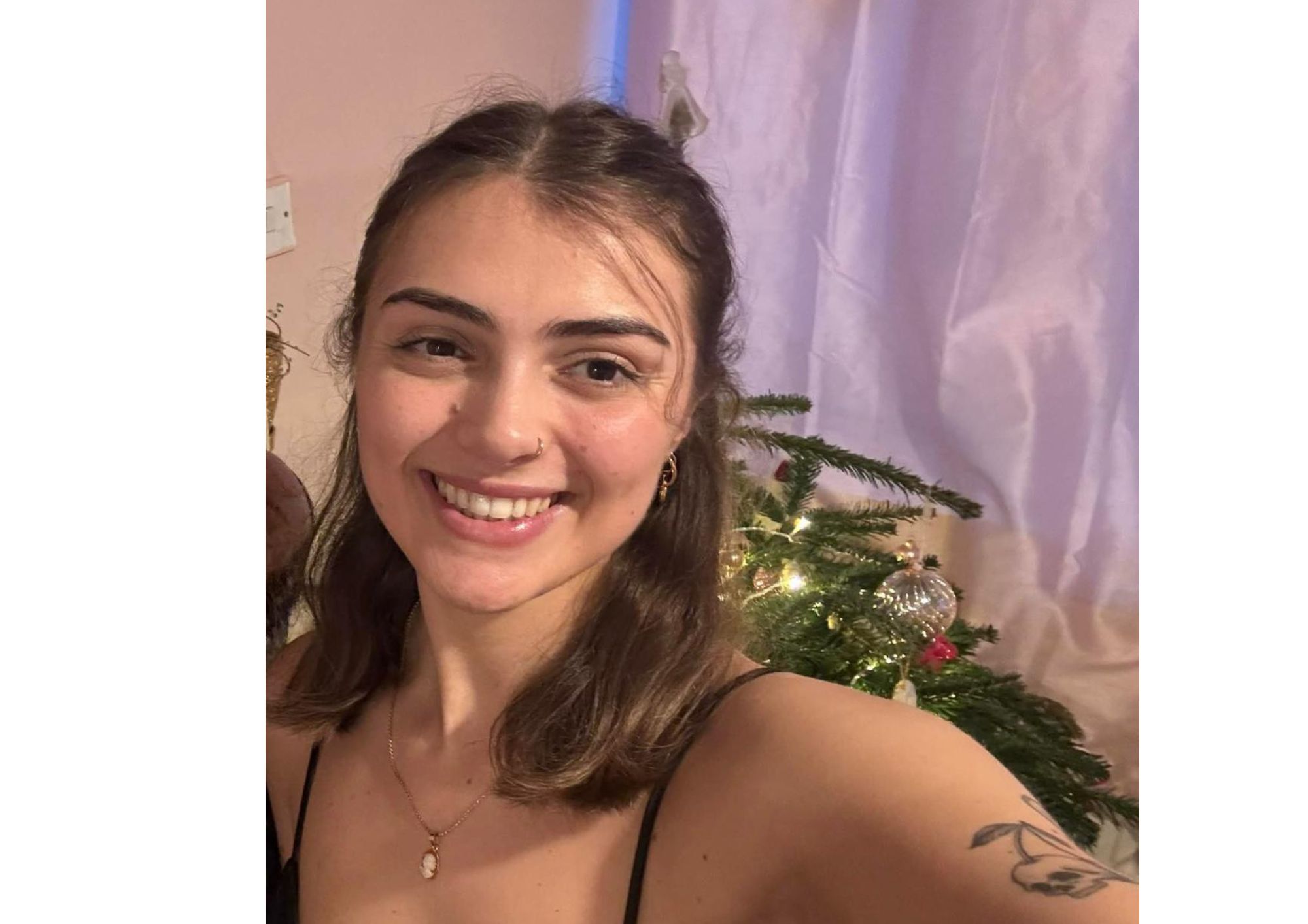 Chain up your Christmas trees, there’s a thief out there! | Islington Tribune