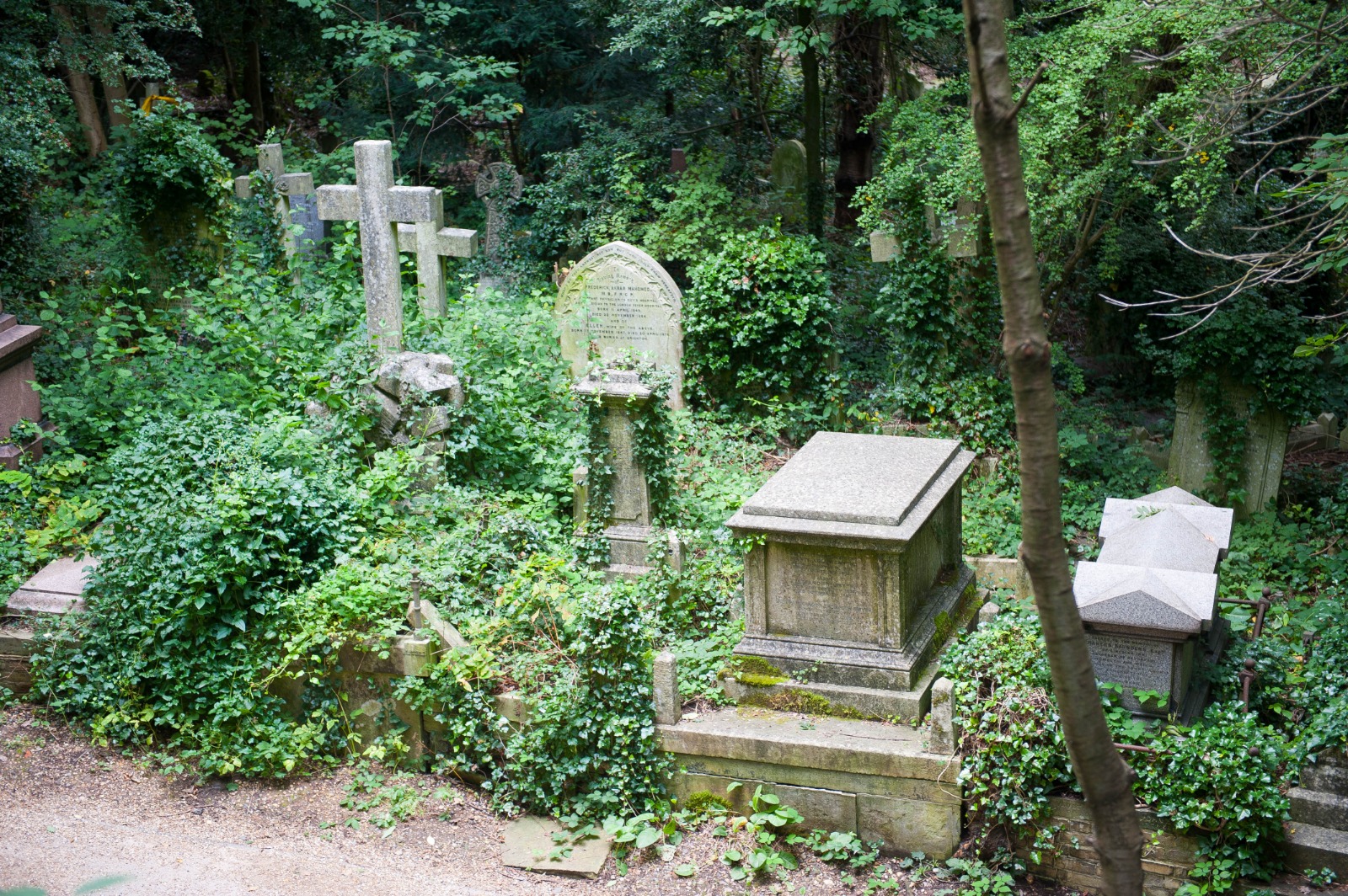 Highgate Cemetery to drop tours-only rule for visitors to historic west ...